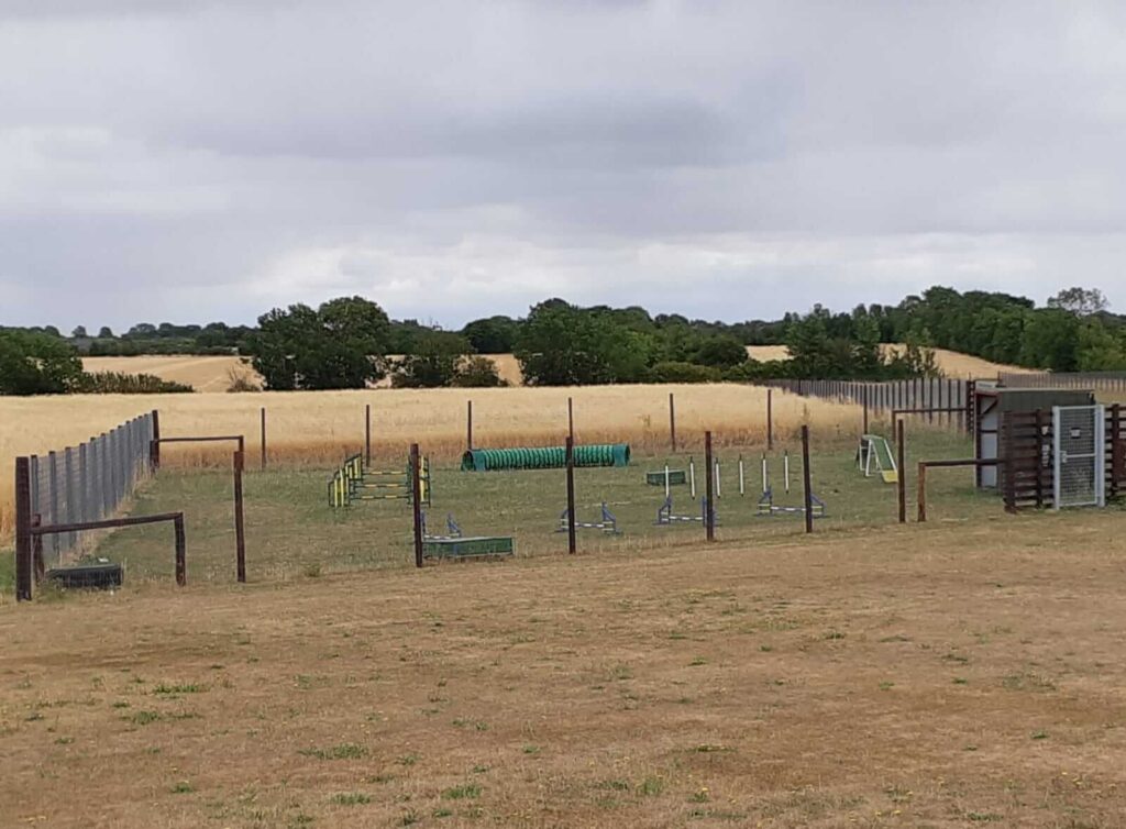 Dog Training And Agility Field Enclosure (60 Minutes) - Kings Ripton Farm