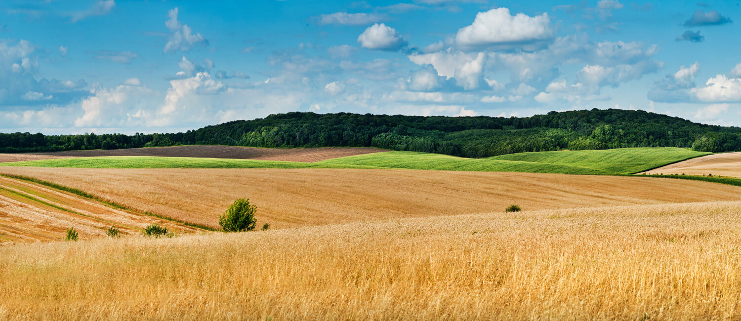 Kings Ripton Farm | Glebe Farm Adults Only Caravan Park